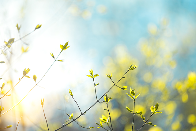 Weekly wellness tip: Spring Renewal